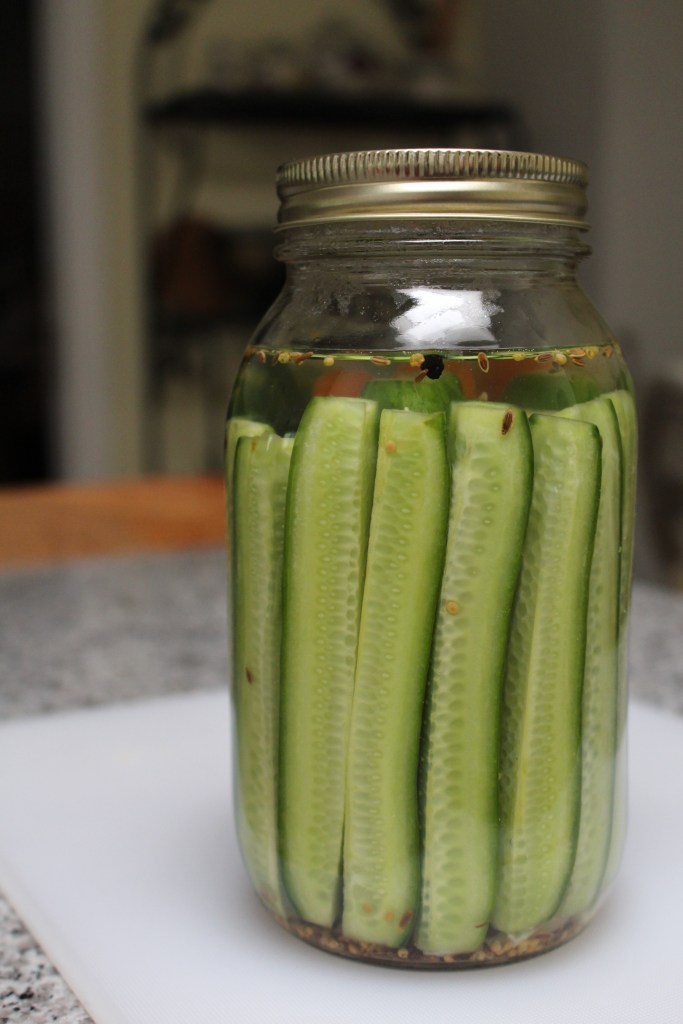 The Beginner’s Basic Overnight Pickle Recipe – Pickles Of Wisdom